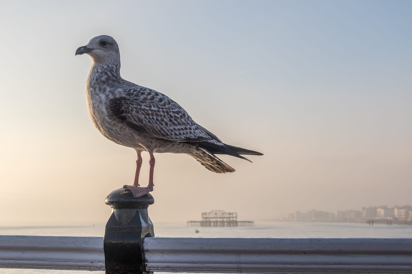 Brighton & Hove updates Community Safety Strategy - Have Your Say