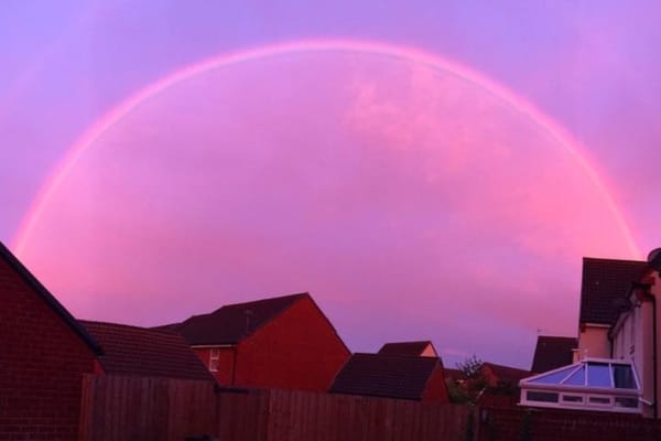 Unveiling Newton’s Bow: A Spectacular Twist in Rainbow Lore – Scene ...