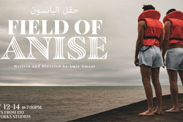 REVIEW: Field of Anise @ Ironworks – Scene Magazine – From the Heart of ...